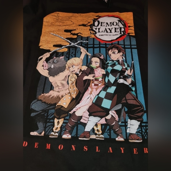 Shirts | Demon Slayer Small Group Shot Tee Hot Topic Exclusive Nwt ...